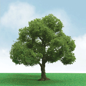 JTT Scenery Products O 05 92404 Elder Trees, Pro Elite, 5" 12.7cm